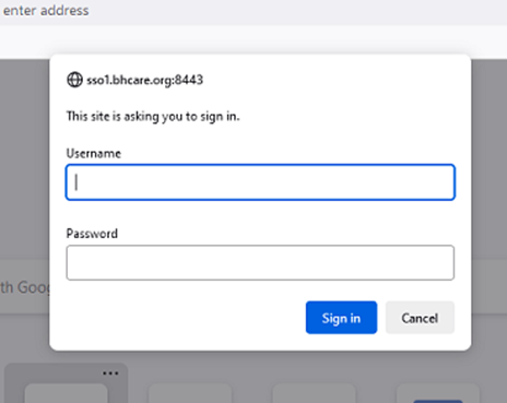 First Time Connecting to Menlo Security – BHcare